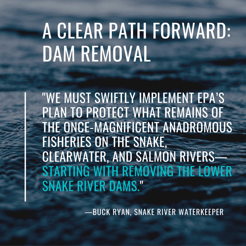 2023.3.7-letter-to-corps-re-wqaps-for-lsr-dams.docx