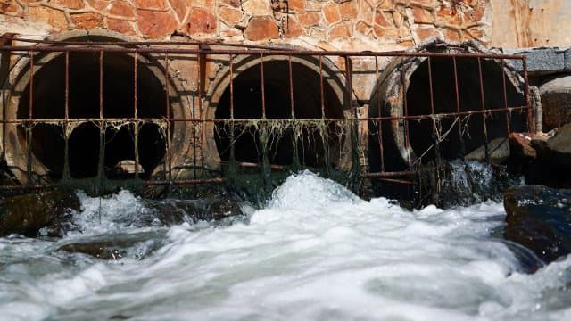 Snake River Waterkeeper